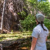 One of Ted Turner Reserves two southern New Mexico guest ranches
