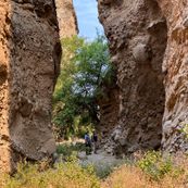 One of Ted Turner Reserves two southern New Mexico guest ranches