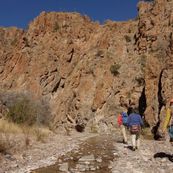 One of Ted Turner Reserves two southern New Mexico guest ranches