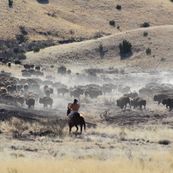 Ted Turner Reserves New Mexico guest ranch