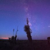 Ted Turner Reserves New Mexico guest ranch