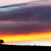 Ted Turner Reserves New Mexico guest ranch