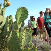 Ted Turner Reserves New Mexico guest ranch