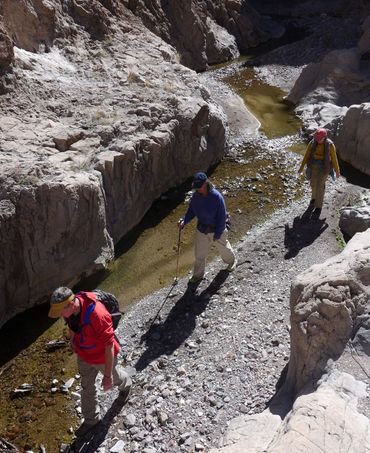 Ted Turner Reserves New Mexico guest ranch